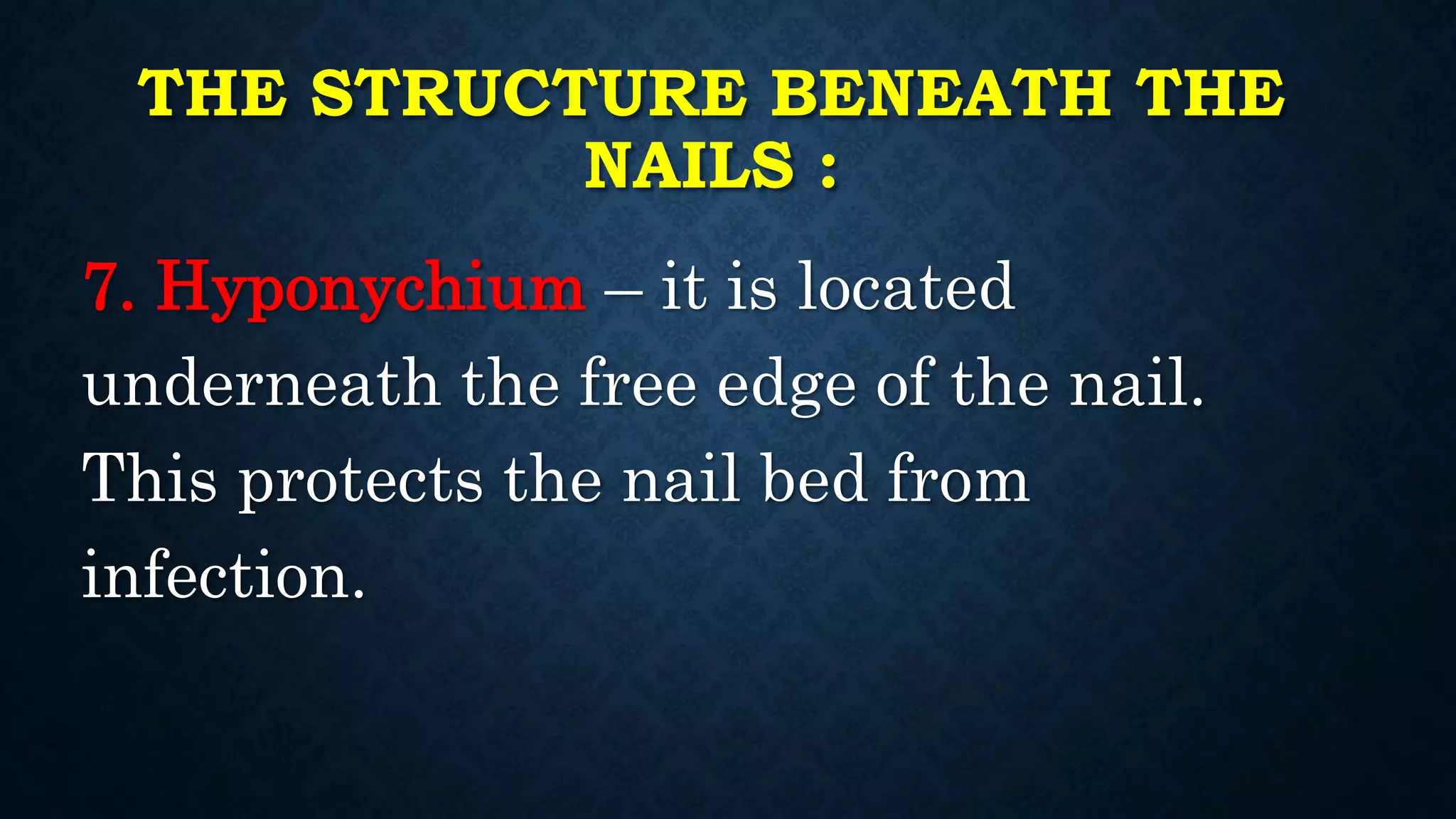 L3 NAIL STRUCTURE.pptx