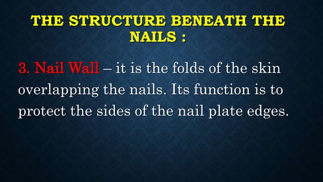 L3 NAIL STRUCTURE.pptx