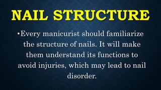 L3 NAIL STRUCTURE.pptx