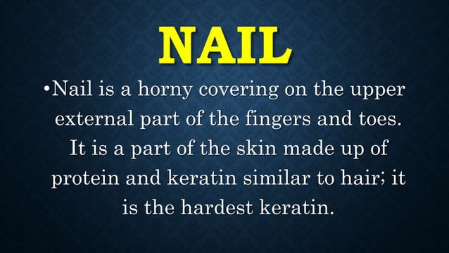 L3 NAIL STRUCTURE.pptx