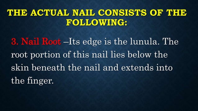 L3 NAIL STRUCTURE.pptx