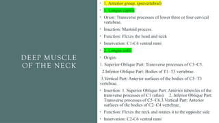 Anatomy of the head and neck, neck lecture -1 | PPTX