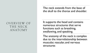 Anatomy of the head and neck, neck lecture -1 | PPTX