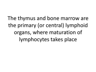 L3 ORGAN OF IMMUNE SYSTEM.pdf