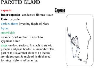 L3 PAROTID GLAND .pdf | Free Download