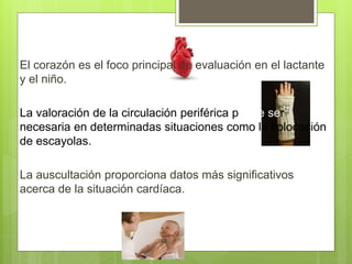 Fisiologia Del Corazon De Bebe