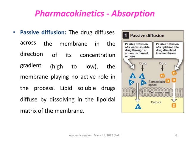 Absorption | PPT