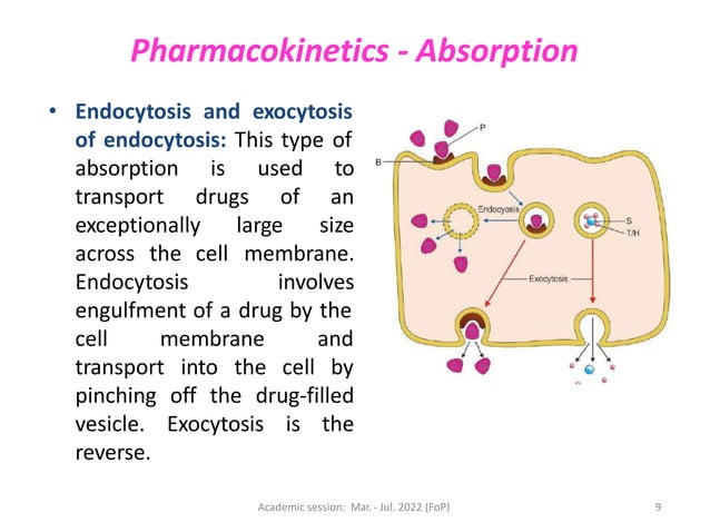 Absorption | PPT