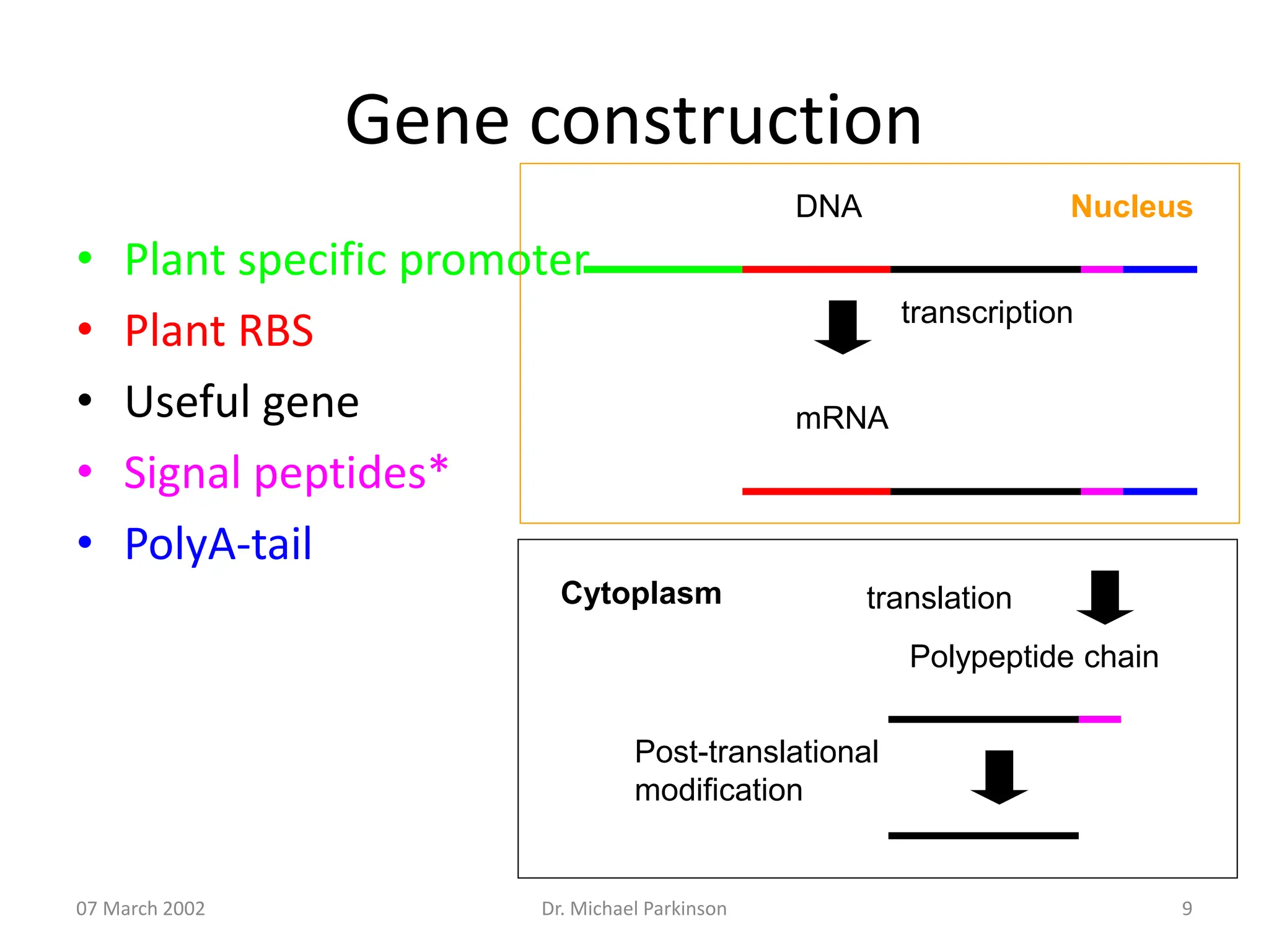 Plant Transformation presentation via Biotechnology | PPT