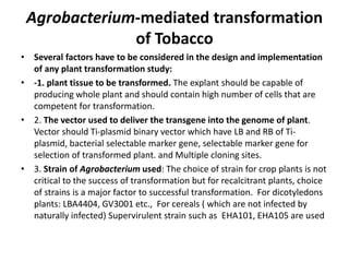 Plant Transformation presentation via Biotechnology | PPT