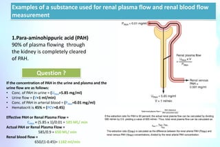 L3_Renal_Clearance physiology for public health.pdf