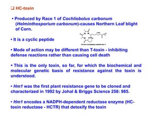 Role of toxins in pathogenesis | PPT
