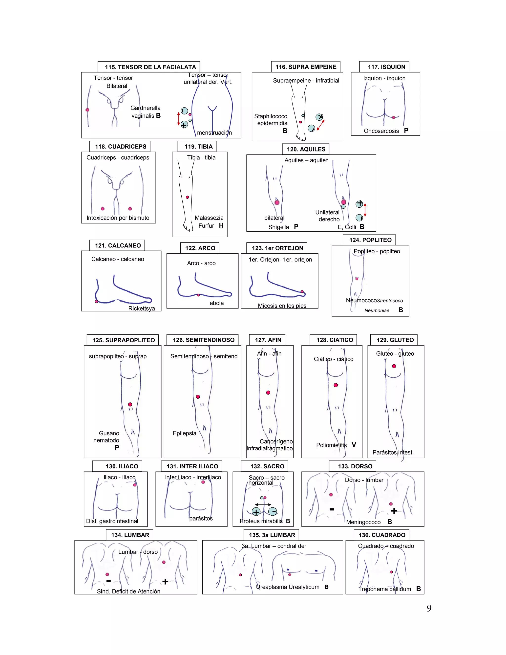 Rastreo biomagnetismo-completo-con-imagenes-1 | PDF