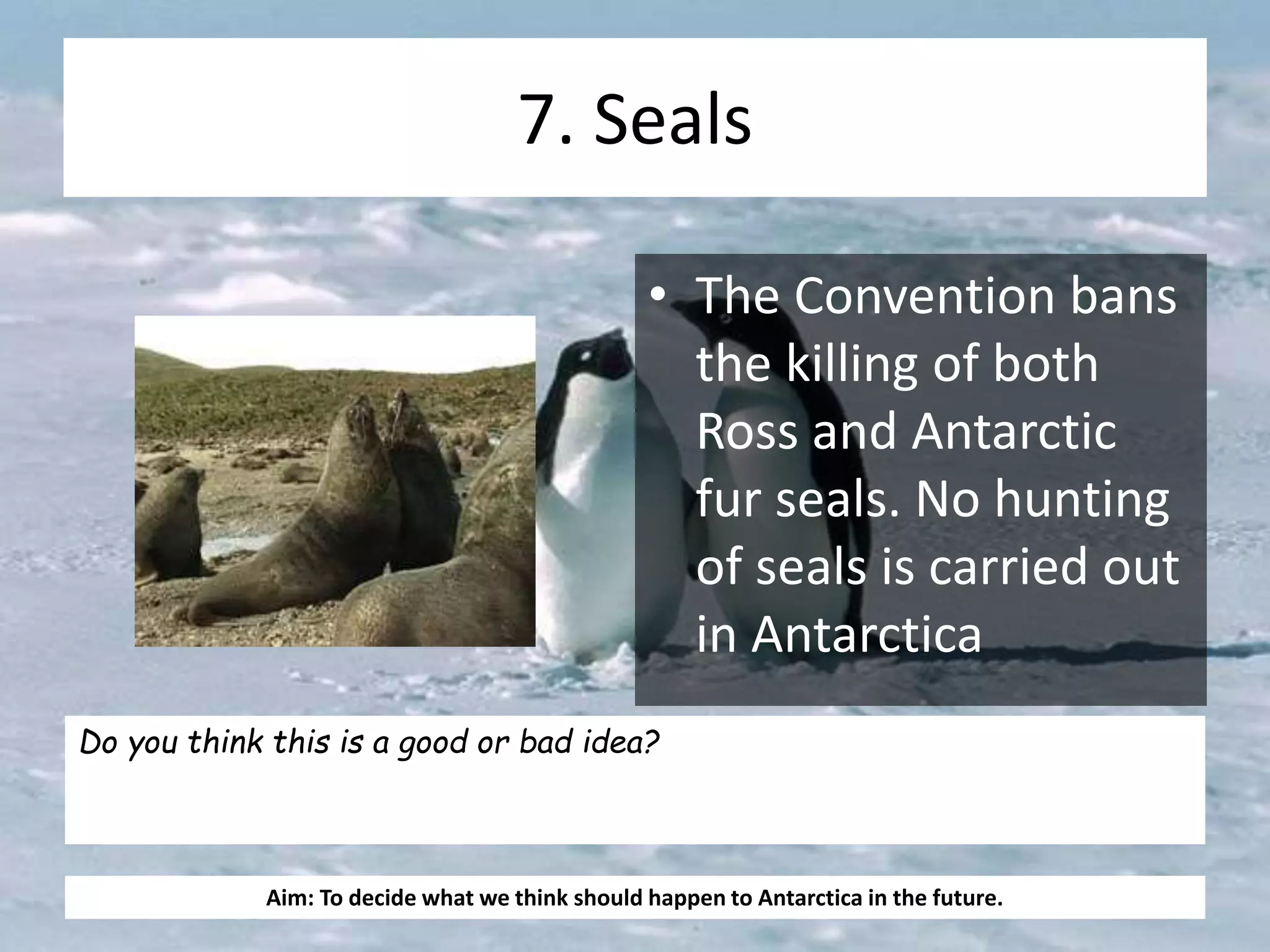 L4. antarctica ap future decision making | PPTX