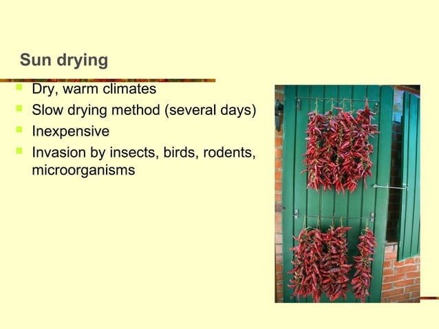 Drying of Fruits and Vegetables | PPT | Chemistry | Science