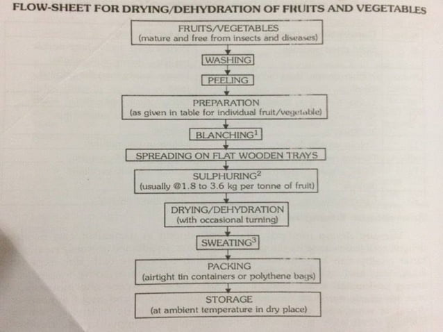 Drying of Fruits and Vegetables | PPT | Chemistry | Science