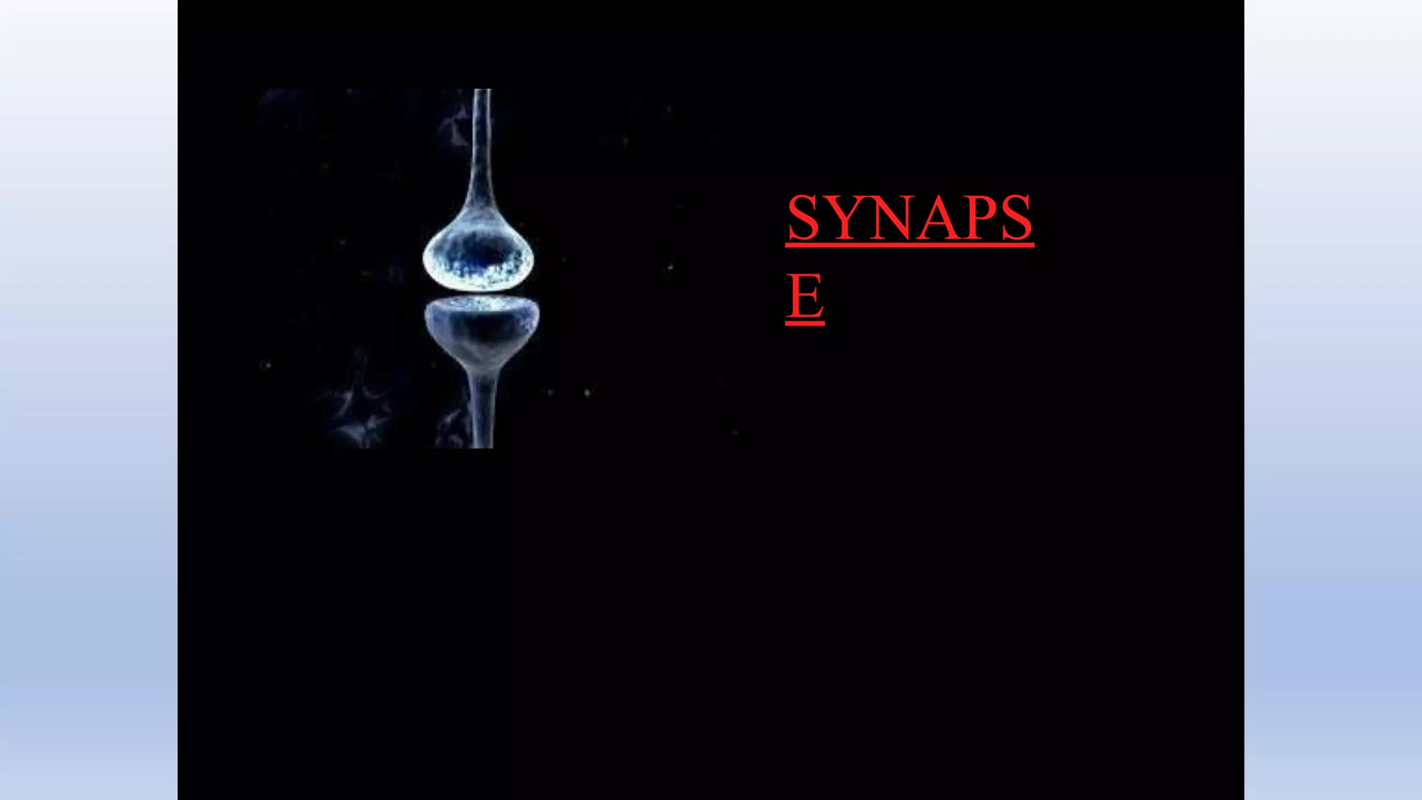 Synapses and Nerotransmitters.pptx