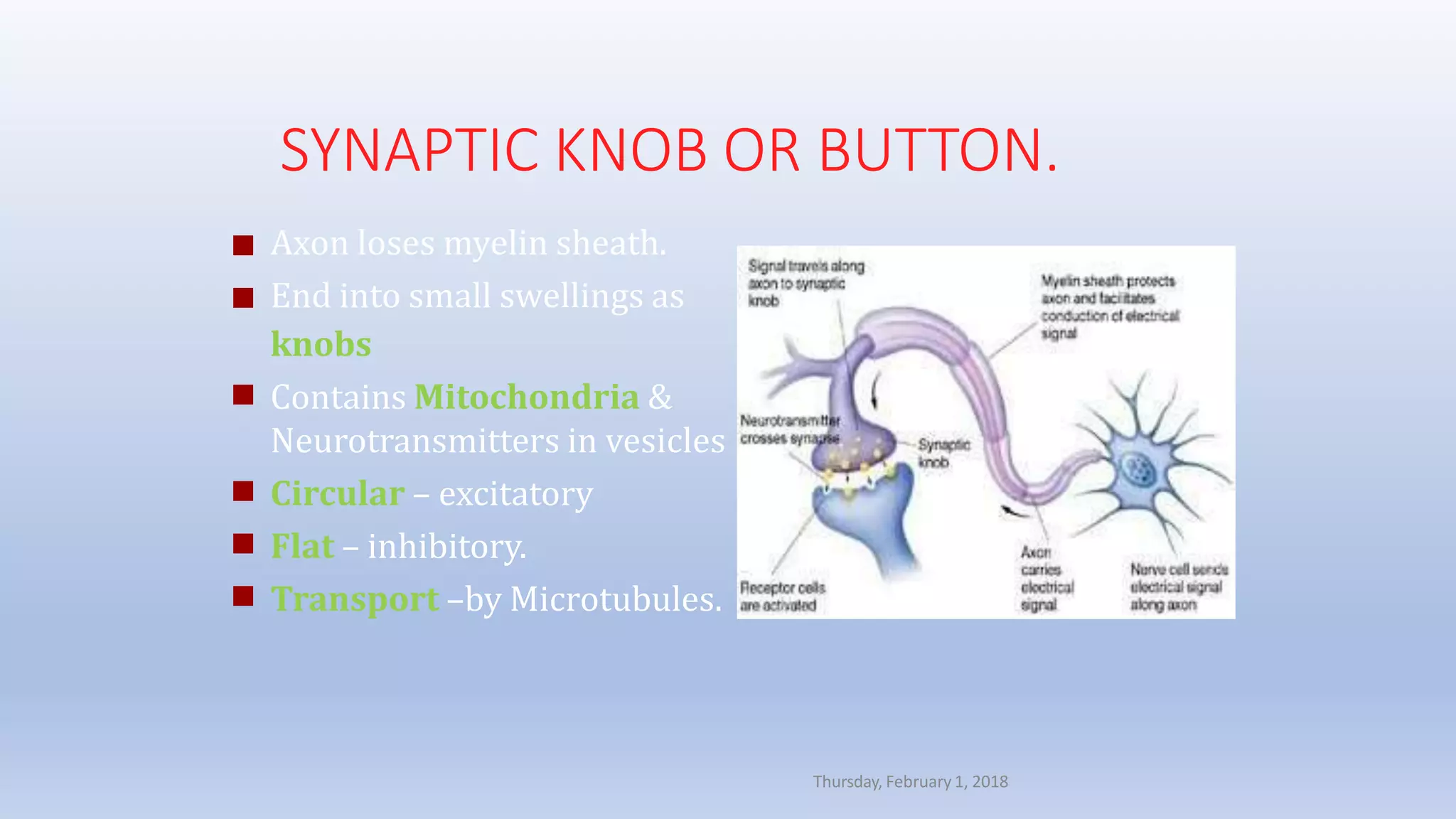 Synapses and Nerotransmitters.pptx