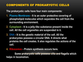 L4.pptx classification of cells presentation | PPTX