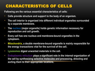 L4.pptx classification of cells presentation | PPTX