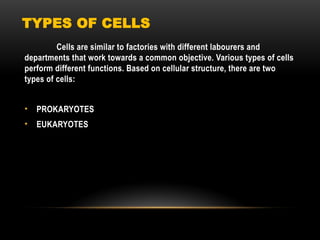 L4.pptx classification of cells presentation | PPTX