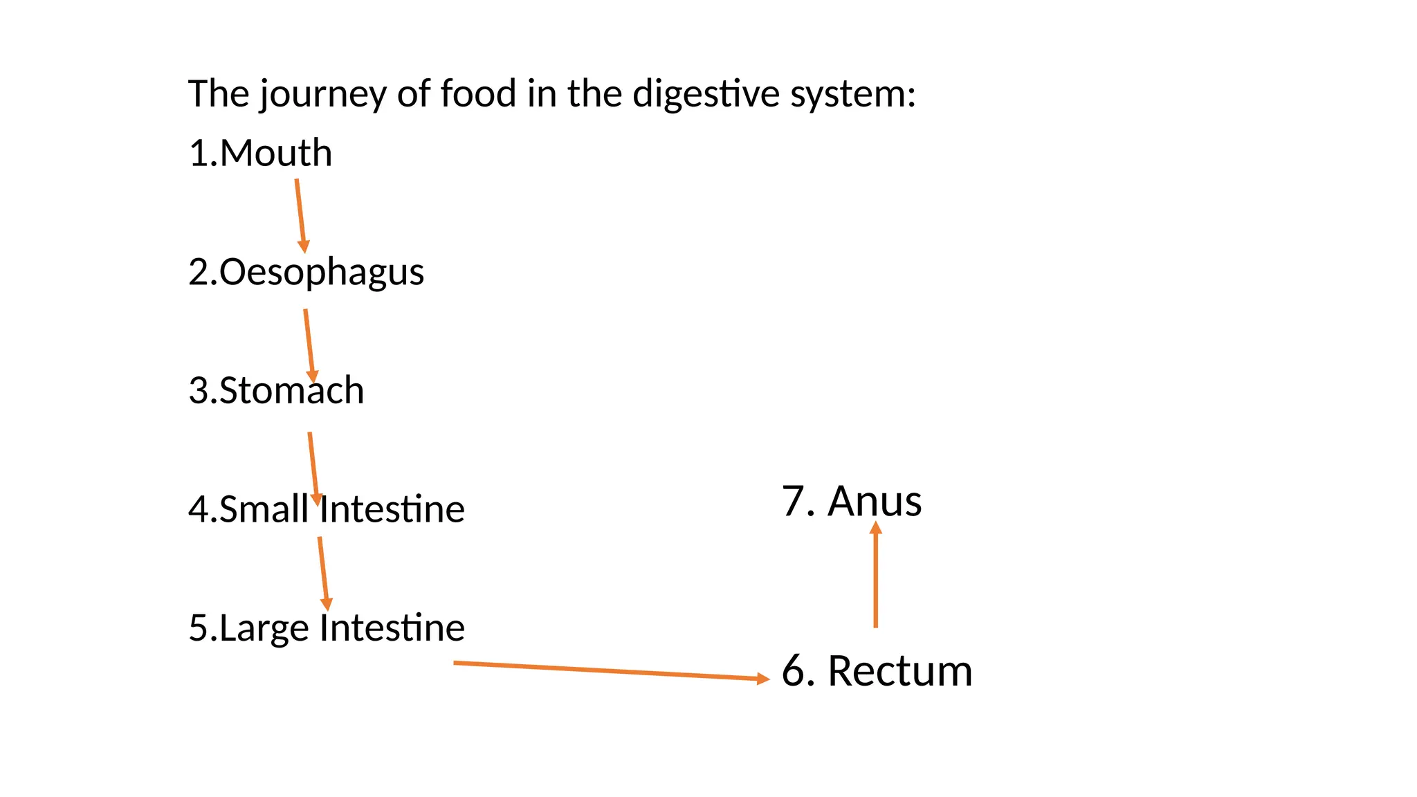 L4. The digestive systemsystemsystem.pptx