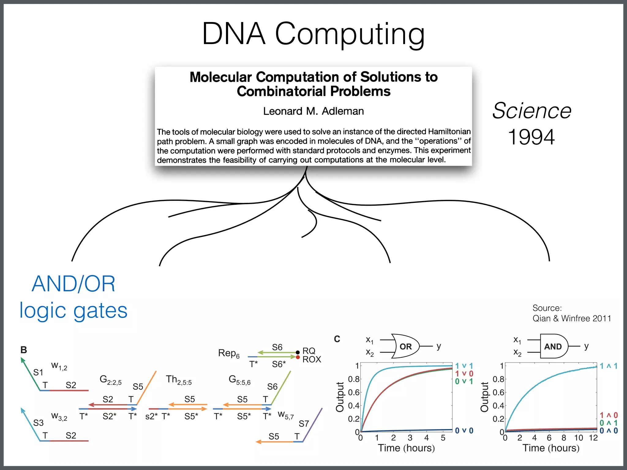 DNA data-structure | PPT