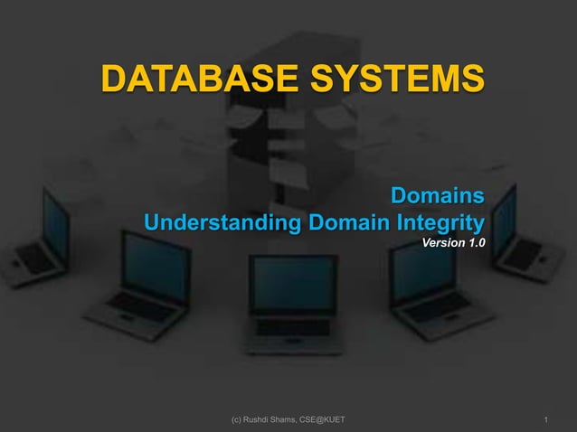 L4 domain integrity | PPT