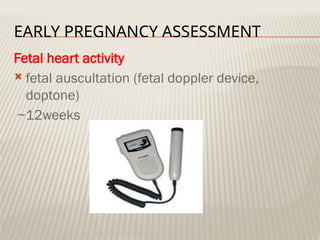 L4- Fetal assessment _November_26_2017.pptx
