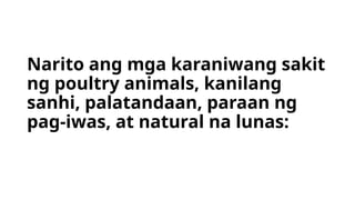 L4-Karaniwang uri at lahi ng poultry animals na.pptx
