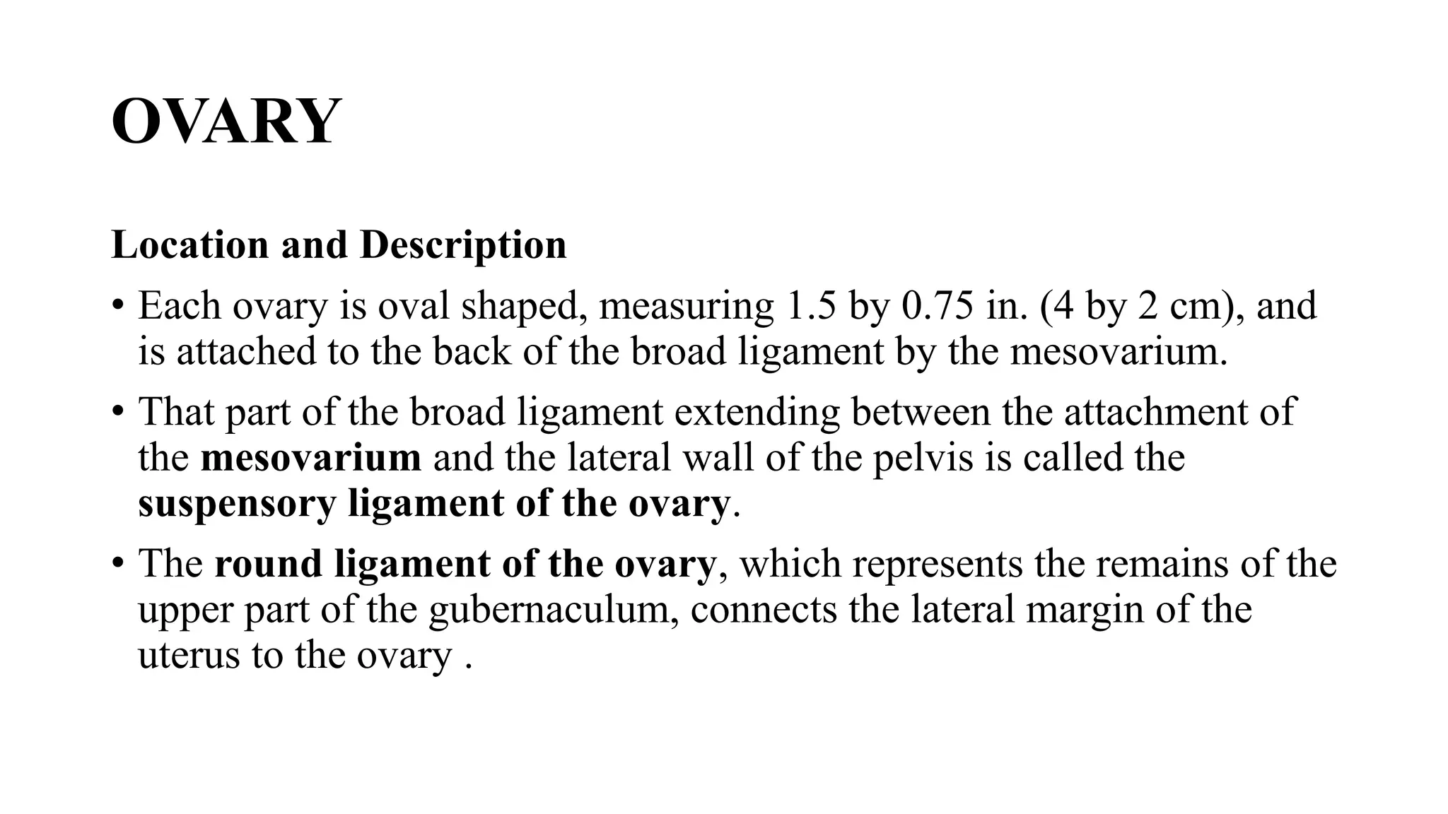 L4- PELVIC CAVITY PART 2-1.pptx
