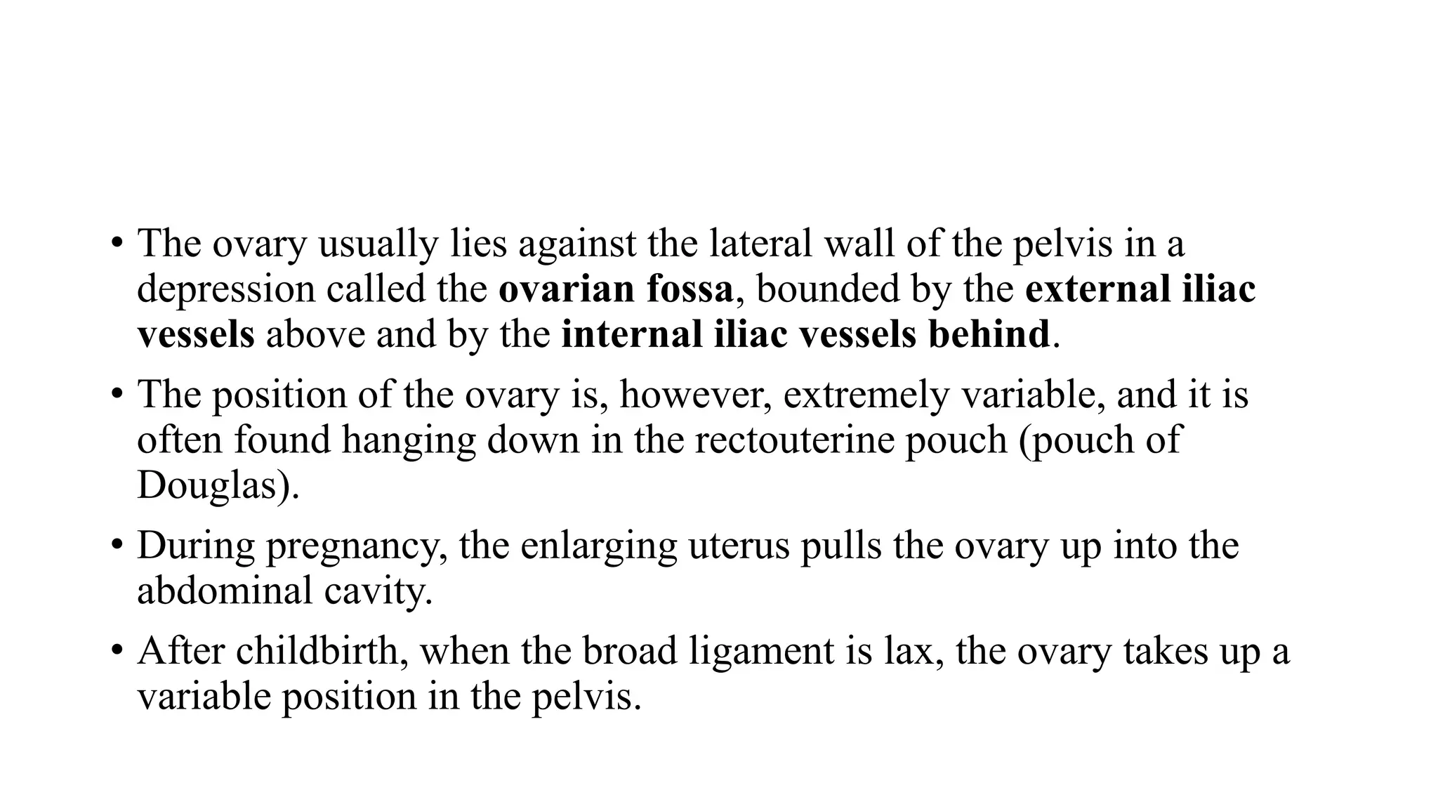L4- PELVIC CAVITY PART 2-1.pptx