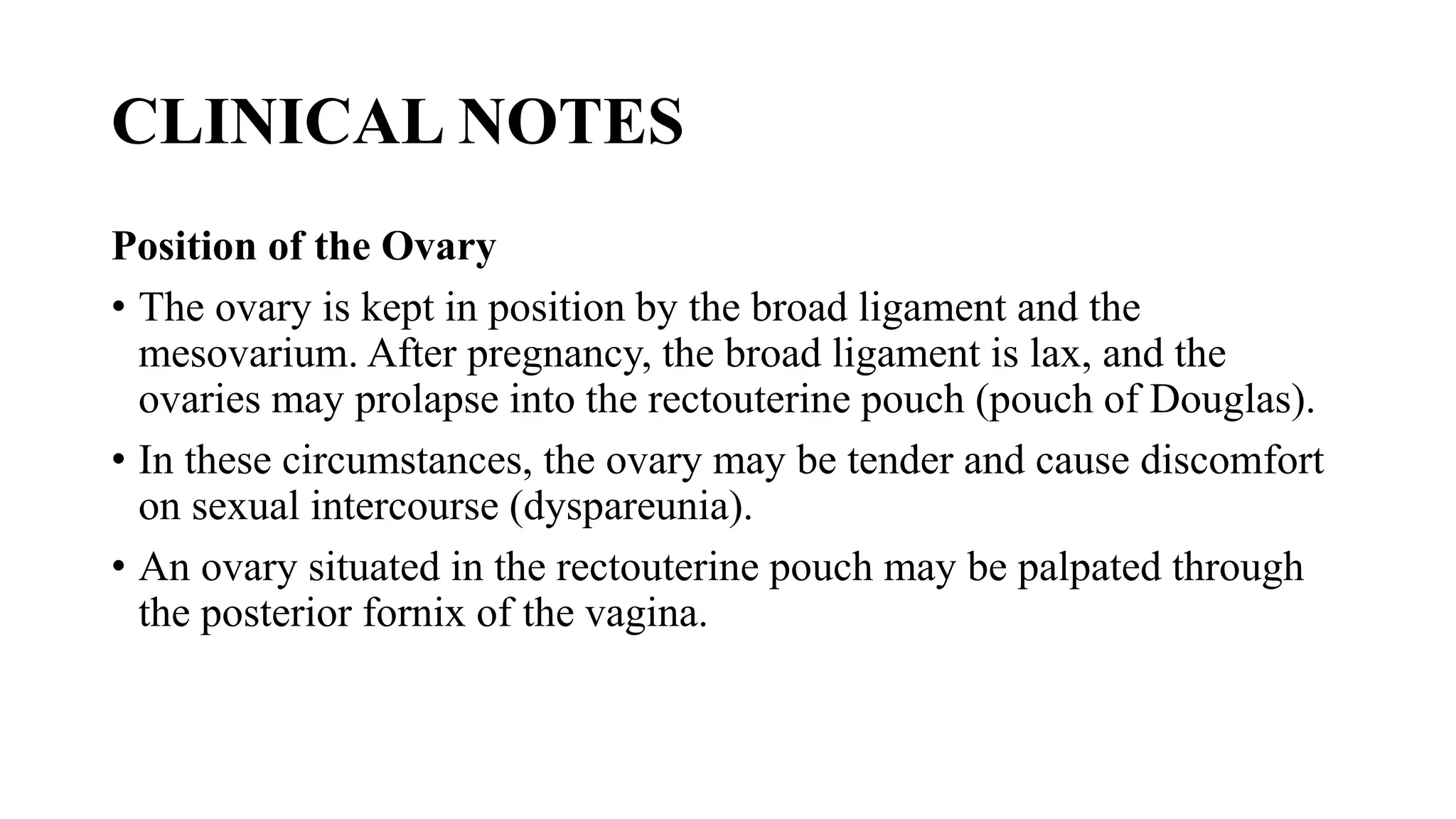 L4- PELVIC CAVITY PART 2-1.pptx