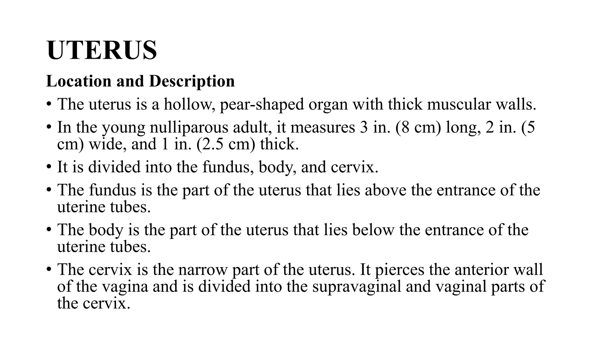 L4- PELVIC CAVITY PART 2-1.pptx