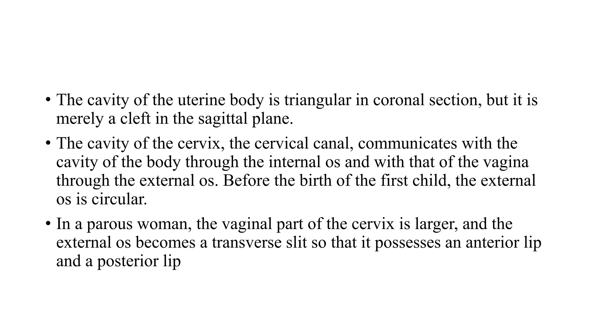 L4- PELVIC CAVITY PART 2-1.pptx