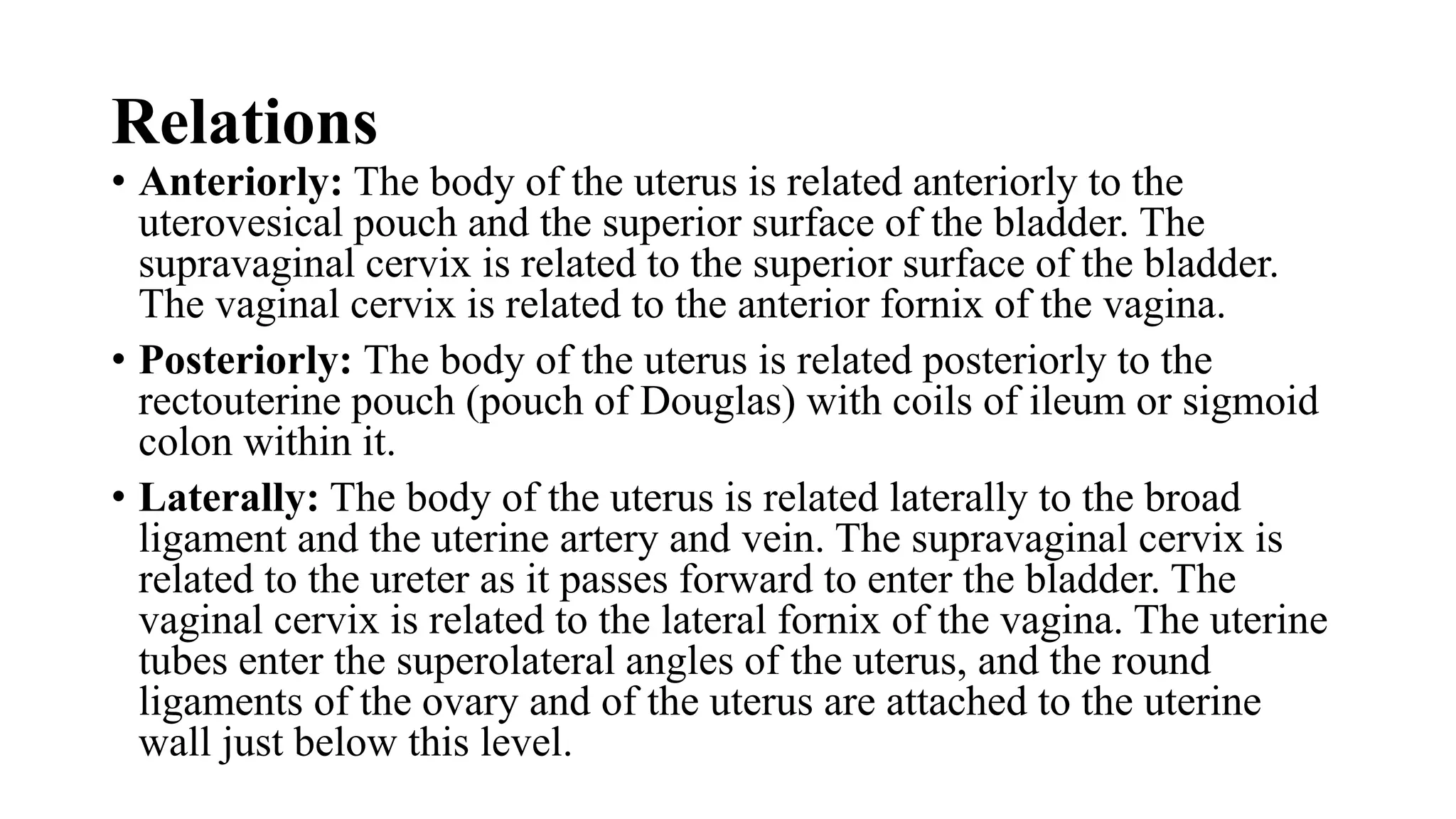 L4- PELVIC CAVITY PART 2-1.pptx