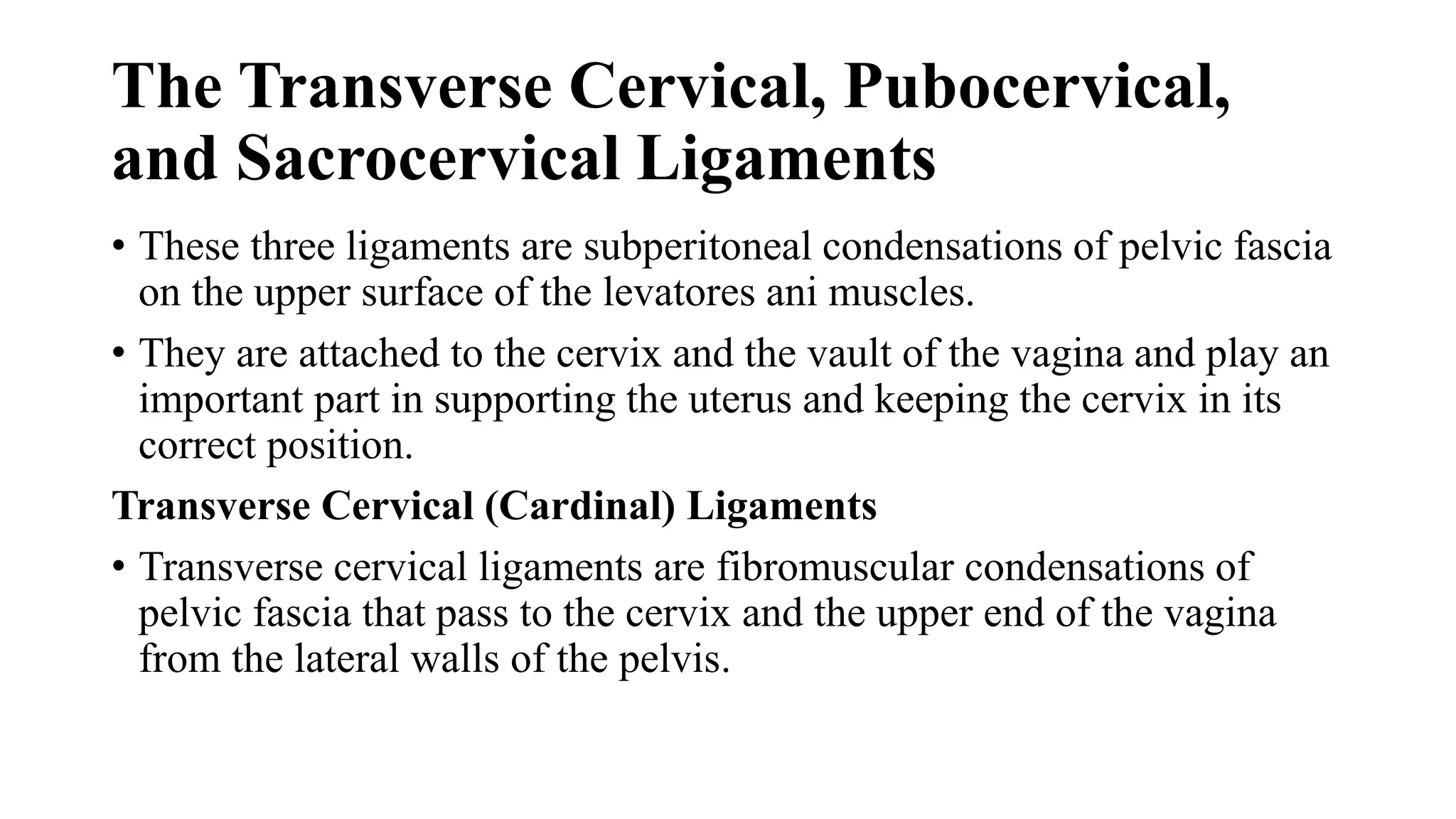 L4- PELVIC CAVITY PART 2-1.pptx