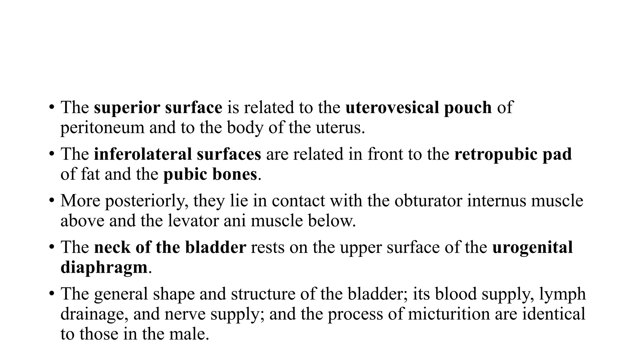 L4- PELVIC CAVITY PART 2-1.pptx
