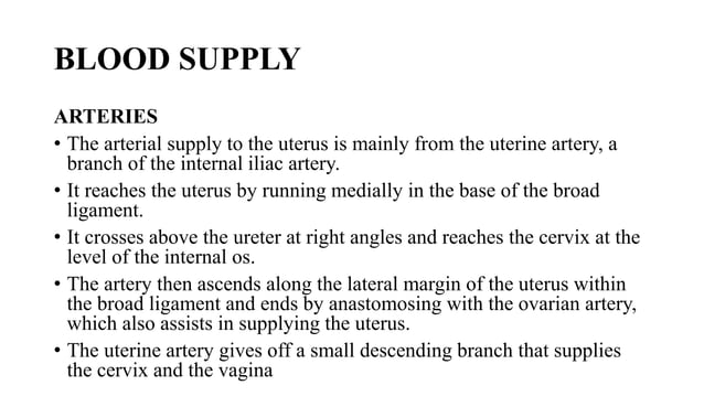 L4- PELVIC CAVITY PART 2-1.pptx