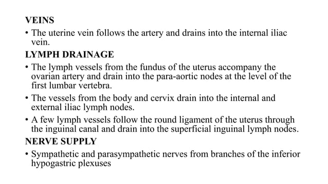 L4- PELVIC CAVITY PART 2-1.pptx