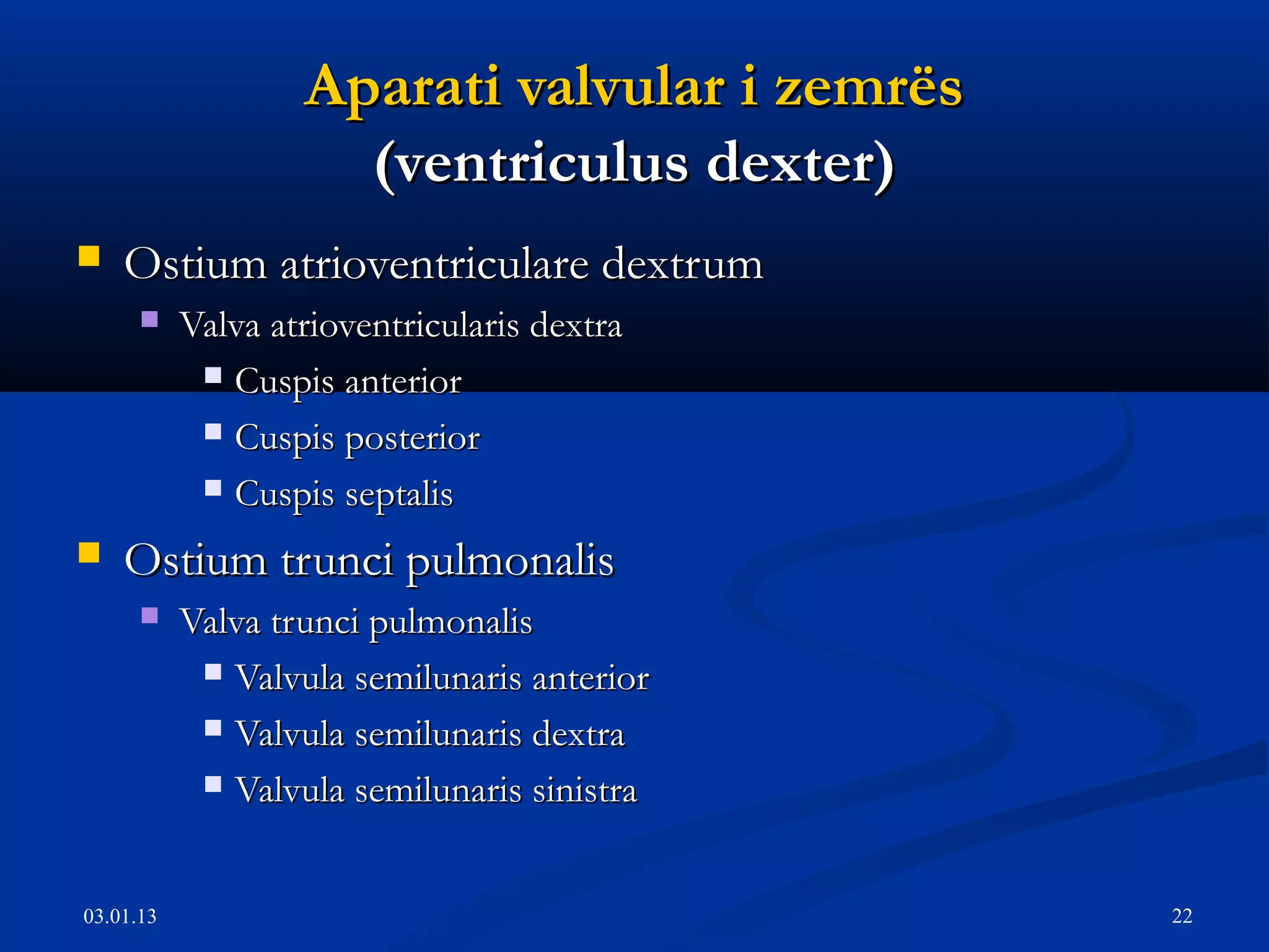 L4 scv cor et pericardium | PPT