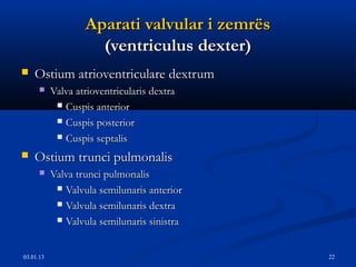 L4 scv cor et pericardium | PPT