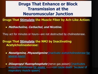 L4+5 -Muscle_Contraction_(Dr_taha) and nmj medical.2020.ppt