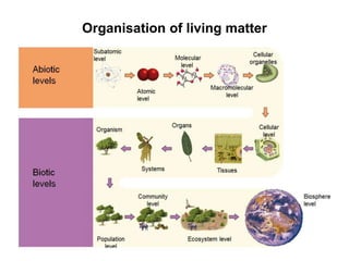 Unit 1. The organisation of the human body. | PPTX