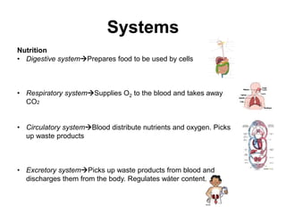 Unit 1. The organisation of the human body. | PPTX