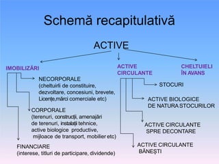Structuri patrimoniale de activ | PPTX