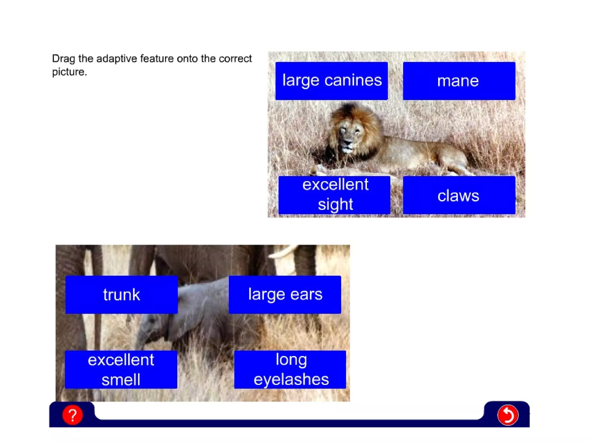 Lesson 4 adaptations | PPT