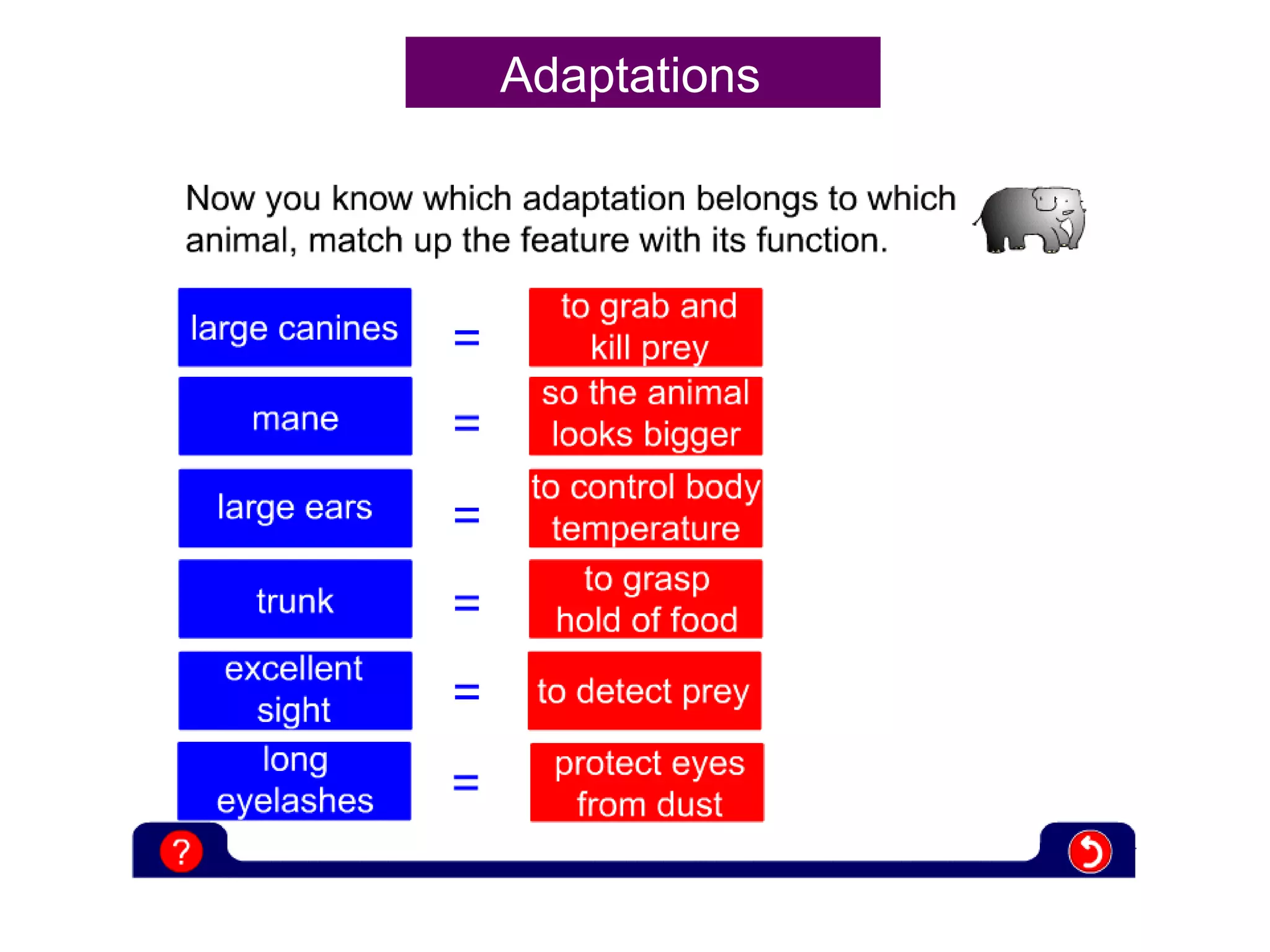 Lesson 4 adaptations | PPT | Geography | Science
