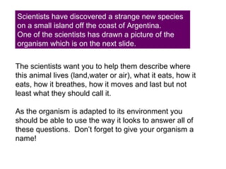 Lesson 4 adaptations | PPT | Geography | Science