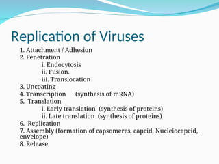 "Exploring the Role and Mechanism of Antiviral Drugs in Modern Medicine ...
